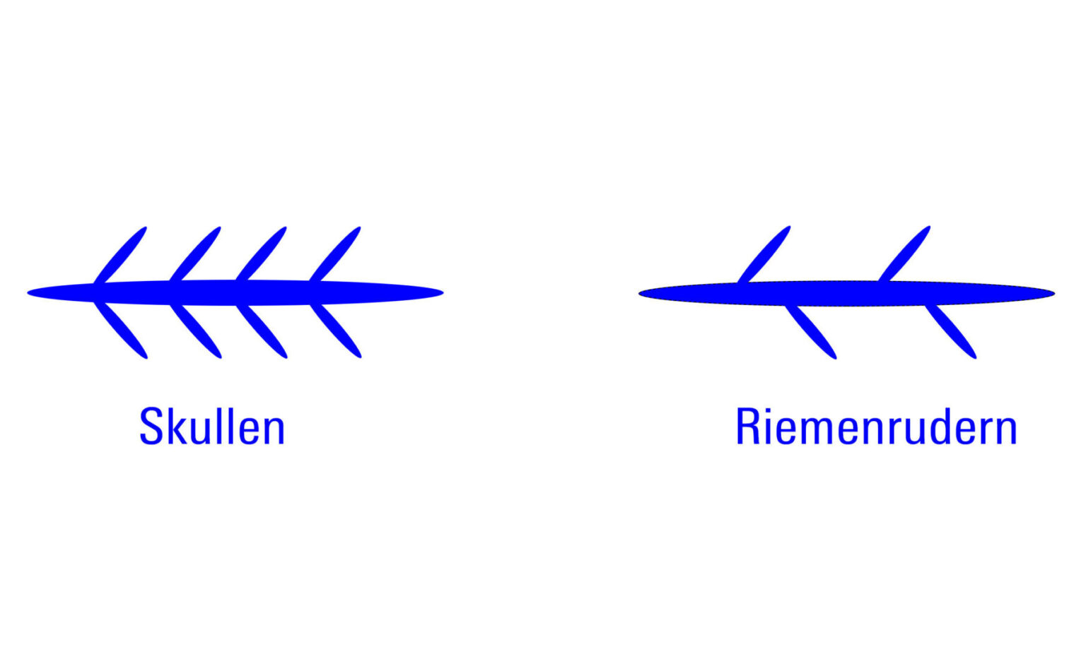 Rudersport – Ruderverein Deggendorf